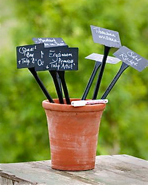Finding the perfect plant labels – the choice is endless!
