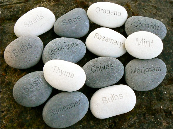 Finding the perfect plant labels – the choice is endless!