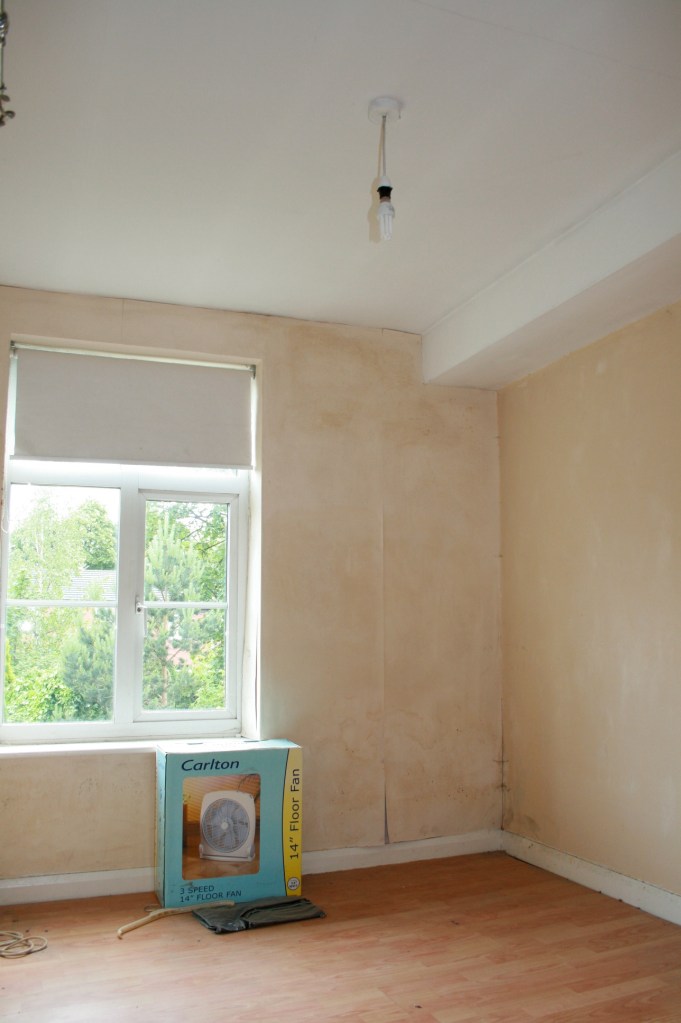 Do Up Diary #72 Vaulted Ceiling Anyone?!